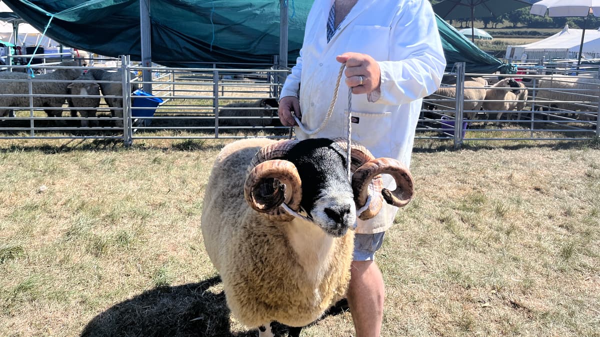 North Cornwall agricultural show cancelled amid rising prices ...