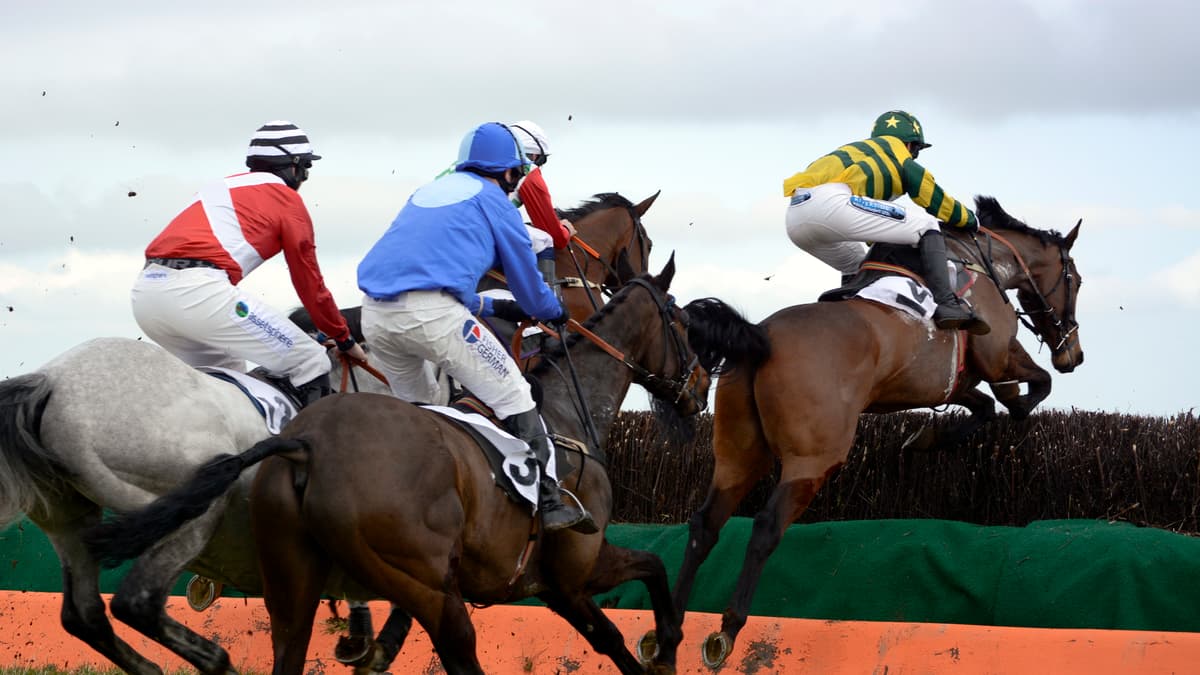 Point-to-point to take place at Royal Cornwall Showground this weekend | holsworthy-today.co.uk