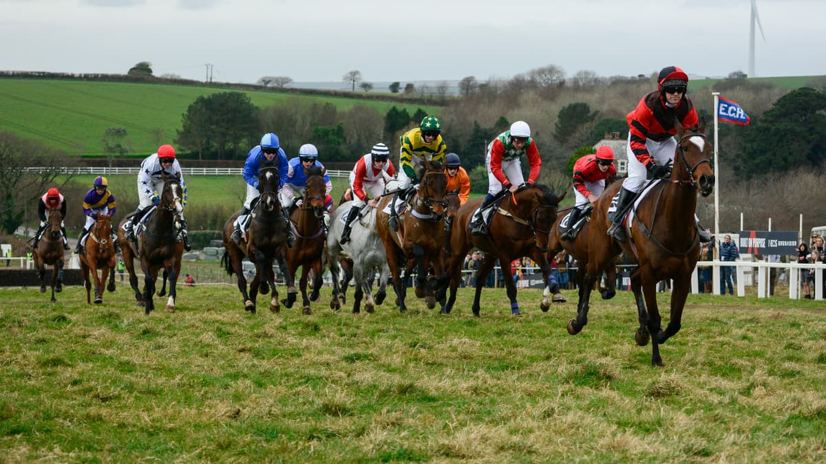 Point to point at Dunsmore Racing Club | holsworthy-today.co.uk