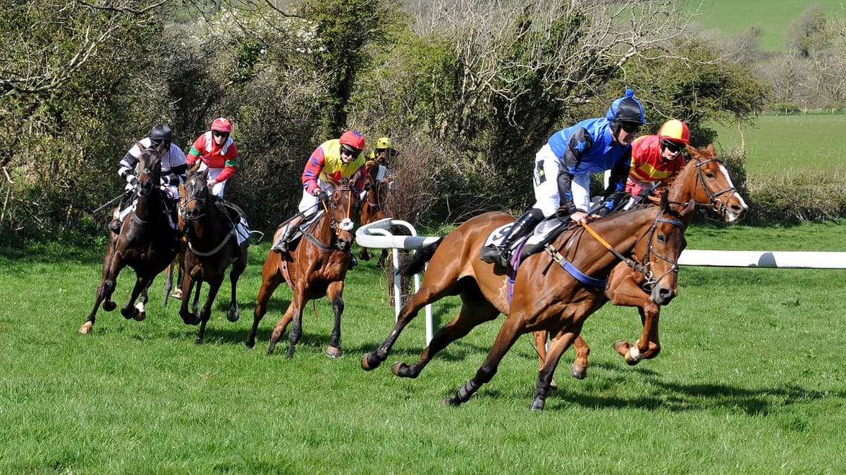 Buckfastleigh to try again with point-to-point meet | holsworthy-today ...