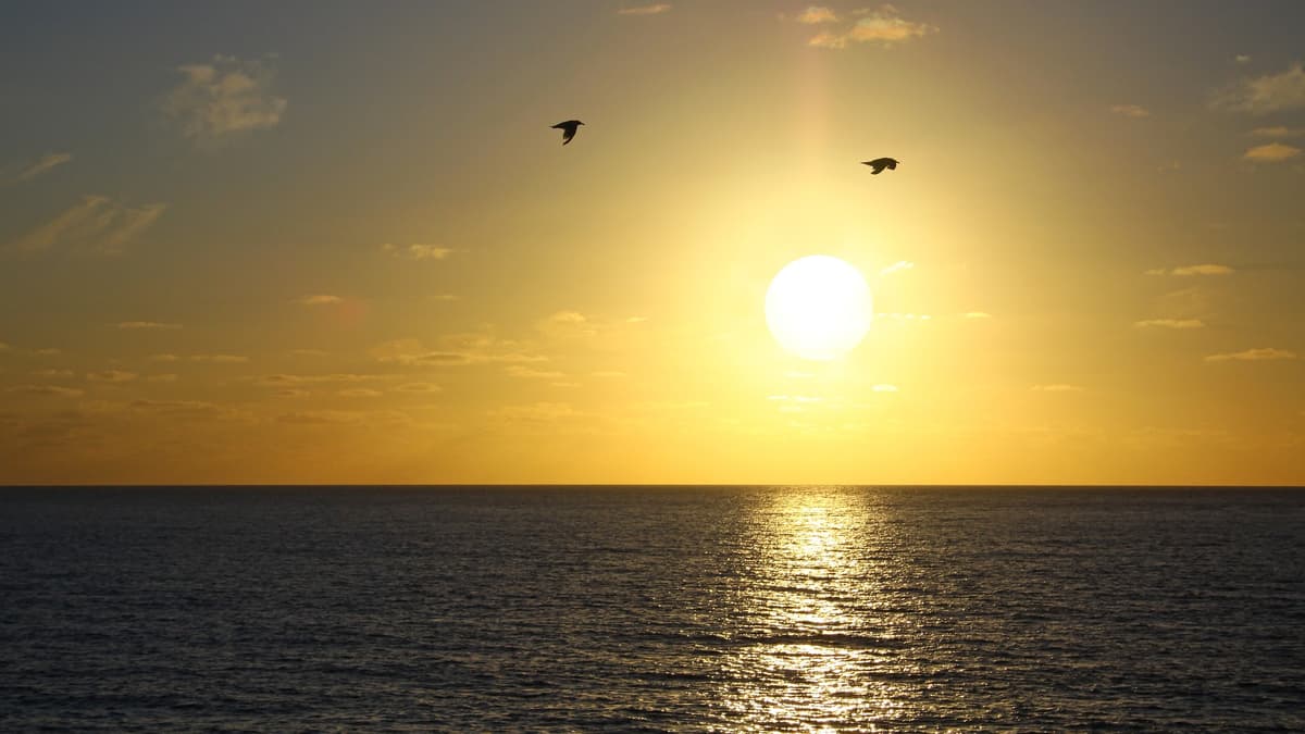 This week's sunny weather forecast ahead of the Bank Holiday weekend ...