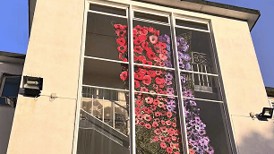 Students create poppy displays for Remembrance | holsworthy-today.co.uk