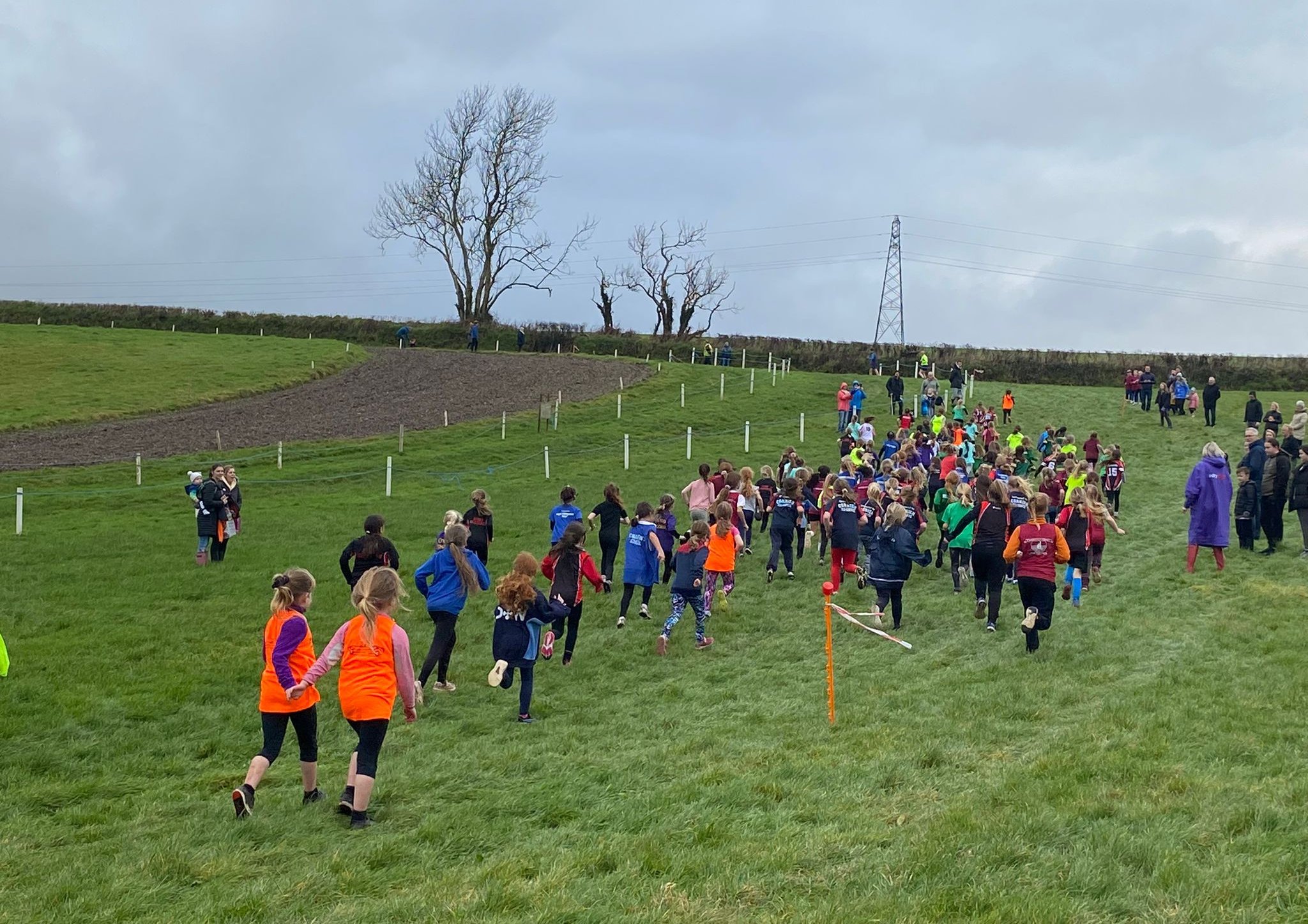 Primary schools cross country gets underway at Landrake | holsworthy ...
