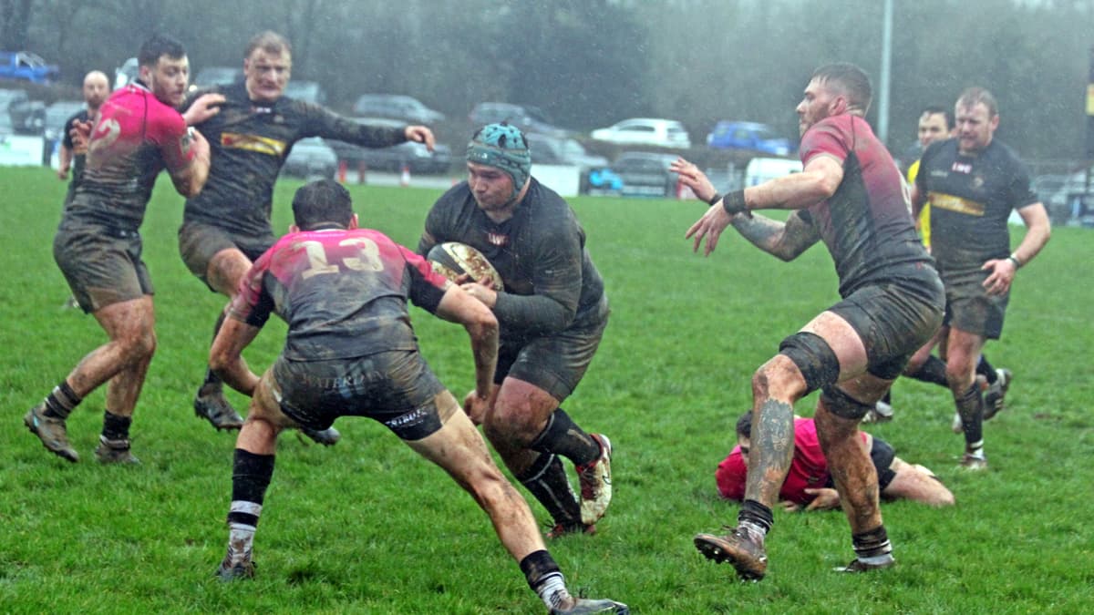 This weekend's rugby union results | holsworthy-today.co.uk