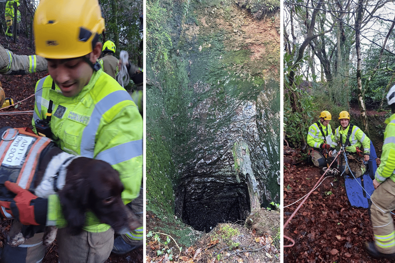 Crews work together to rescue Daisy the dog from mineshaft | holsworthy ...