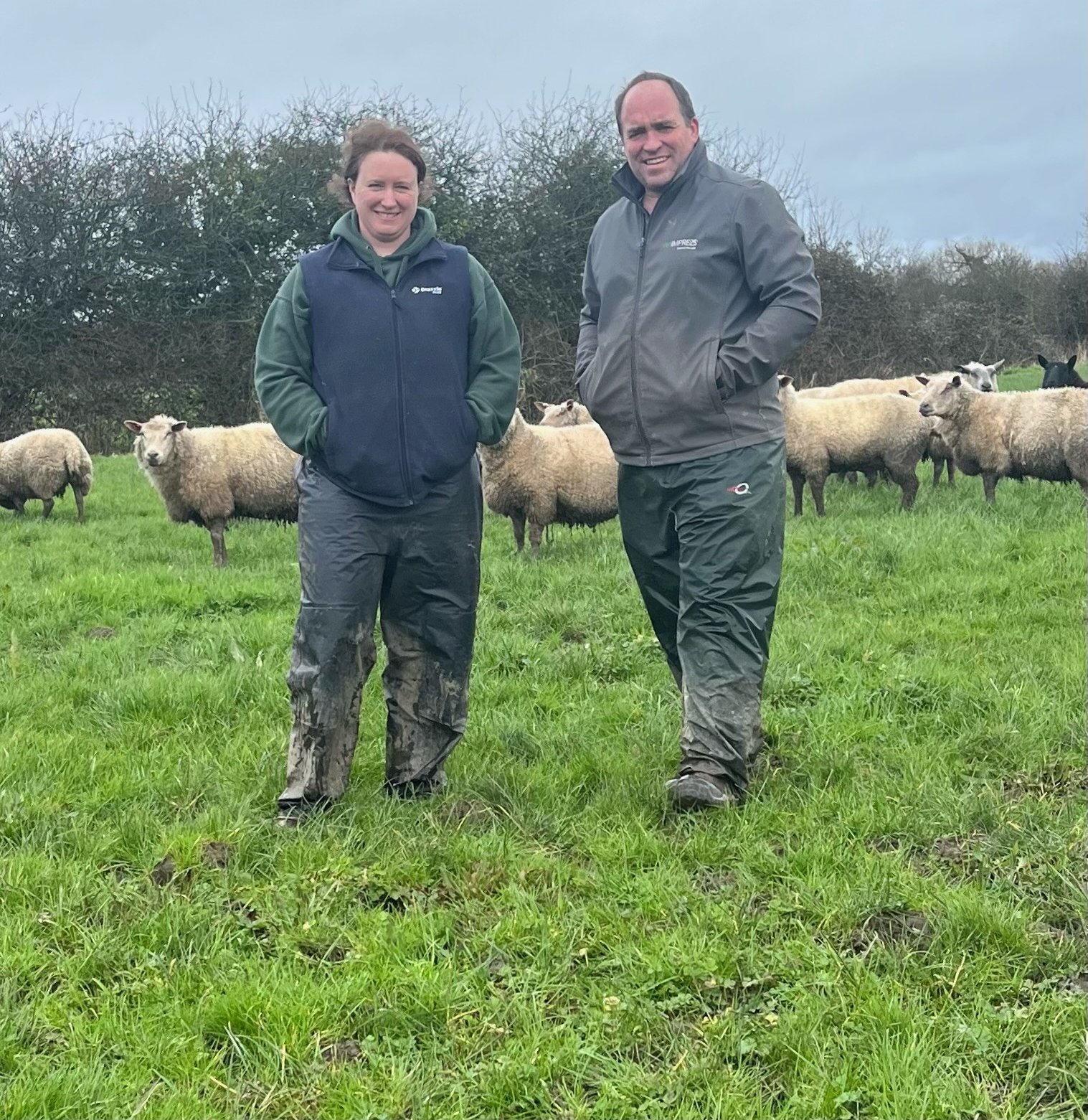 South West farmers fear rising dog attacks | holsworthy-today.co.uk
