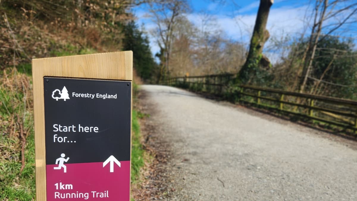 Forestry England announces progress on reopening after Storm Darragh ...