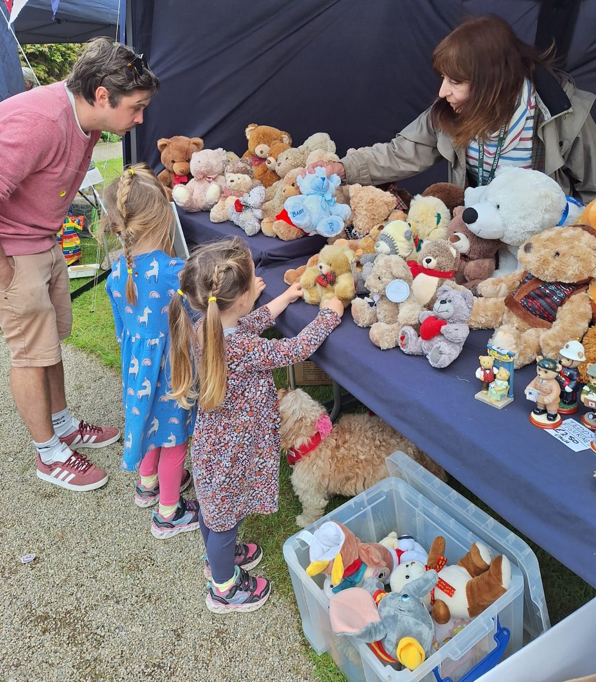 Holsworthy Post - local news at the heart of the community