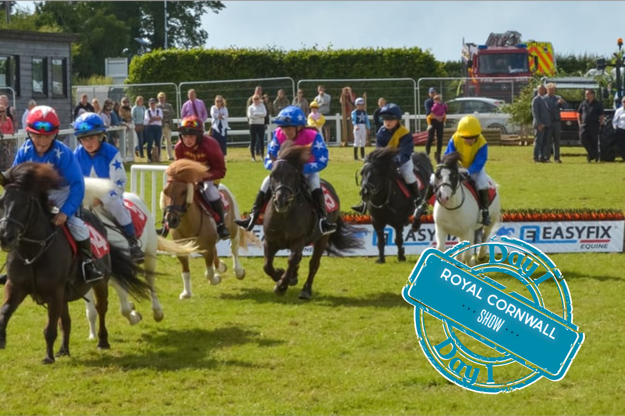 Holsworthy Post - local news at the heart of the community