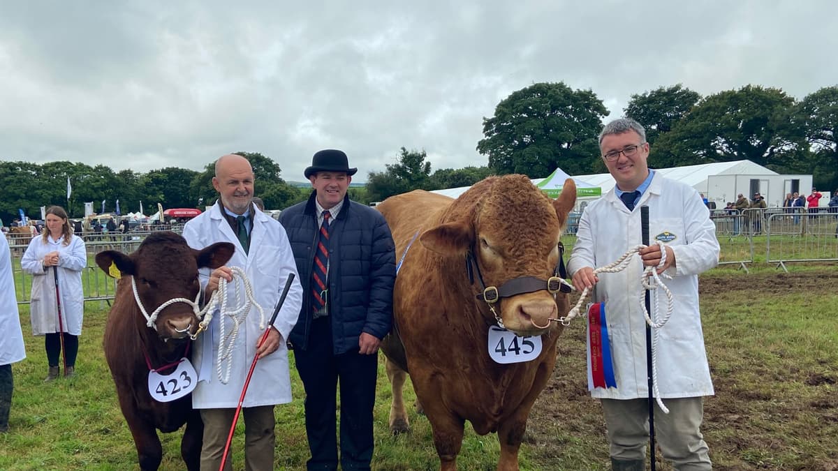 Live from Launceston Show 2025 | holsworthy-today.co.uk