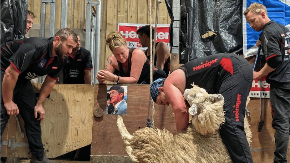 Shear brilliance as world record smashed in Launceston | holsworthy ...