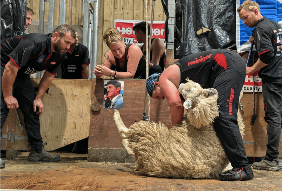 Shear brilliance as world record smashed in Launceston | holsworthy ...