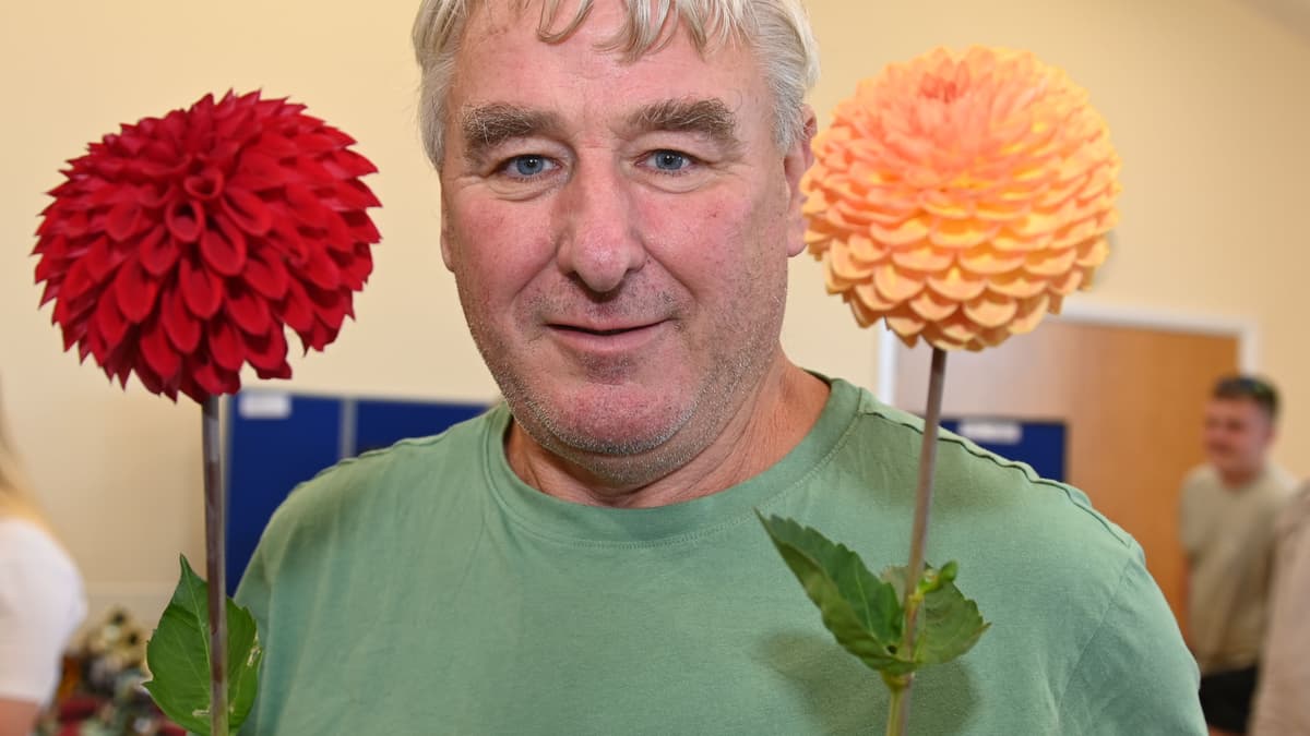 Slimmed down Camelford Show still impresses despite main event ...