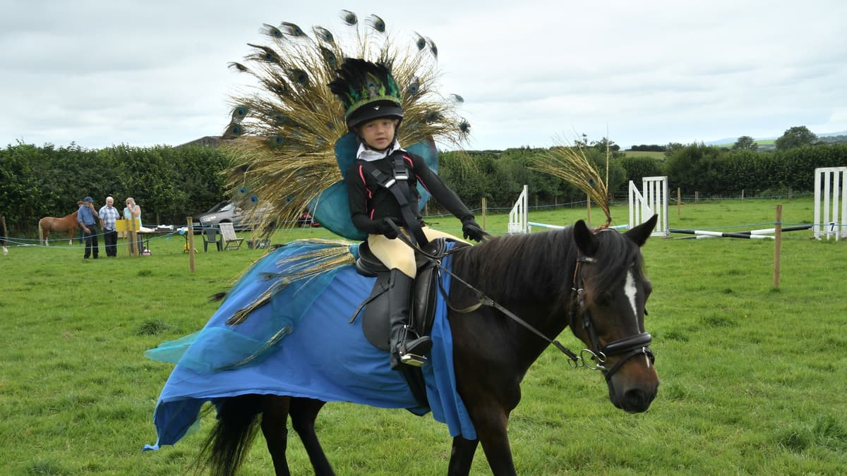 Farmers of the future demonstrate their skills at Ashwater Show ...
