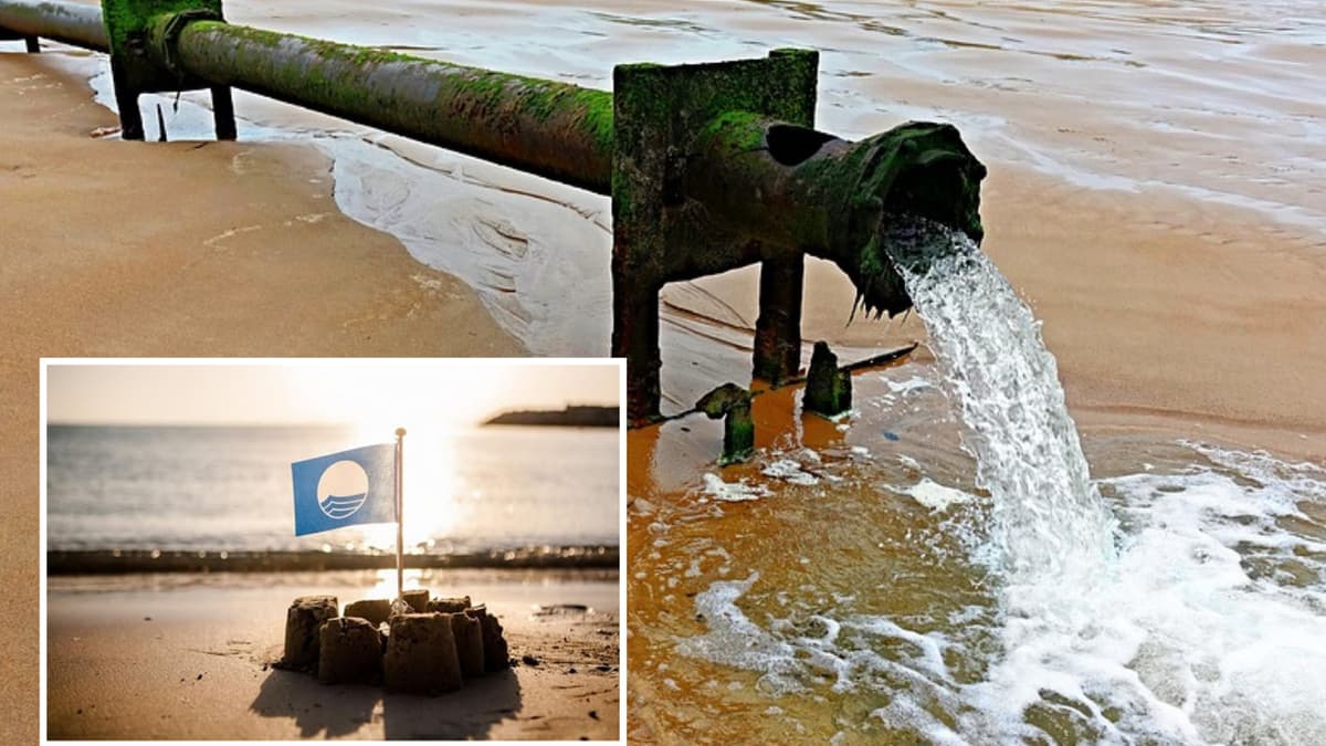 More than 2,700 hours of sewage dumping at North Cornwall's Blue Flag ...