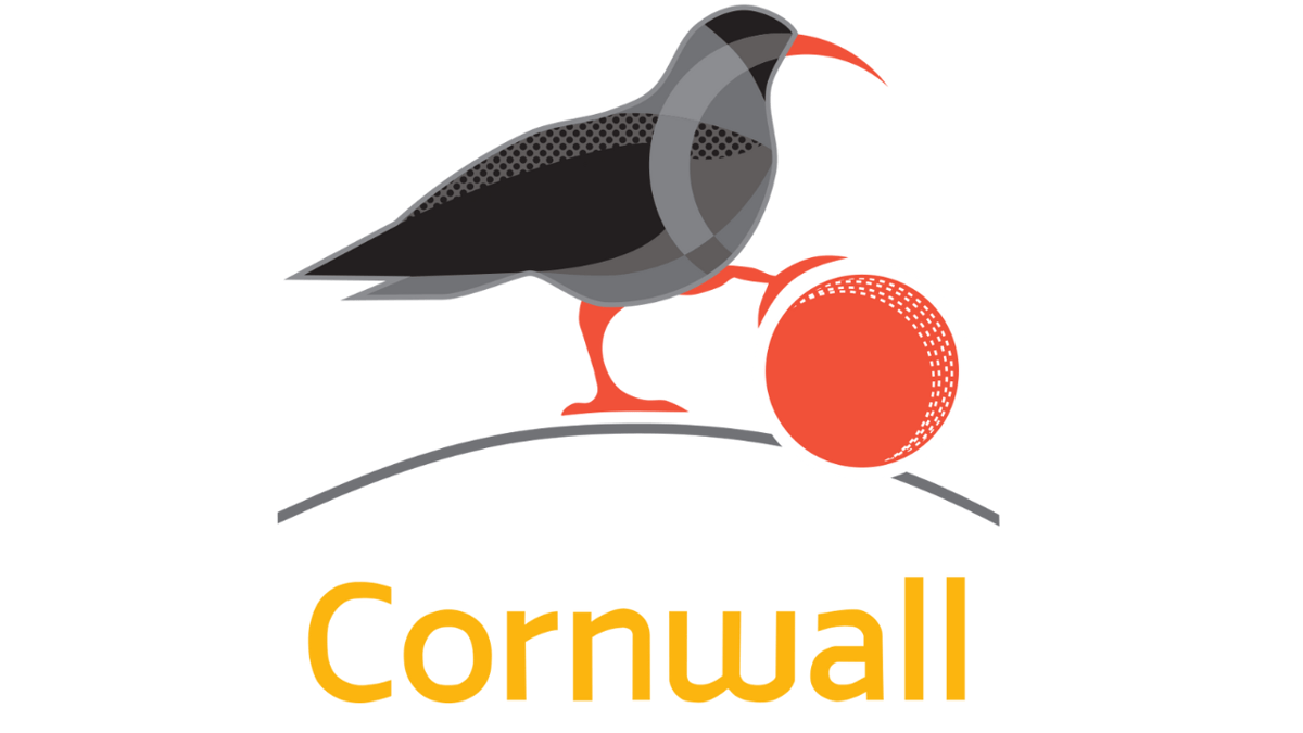 Cornwall Cricket to host county's first LGBTQ+ cricket event ...