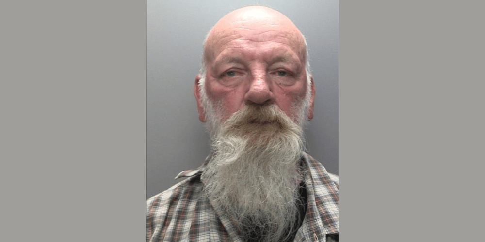 Pensioner sentenced to jail term after sexually assaulting nine year ...