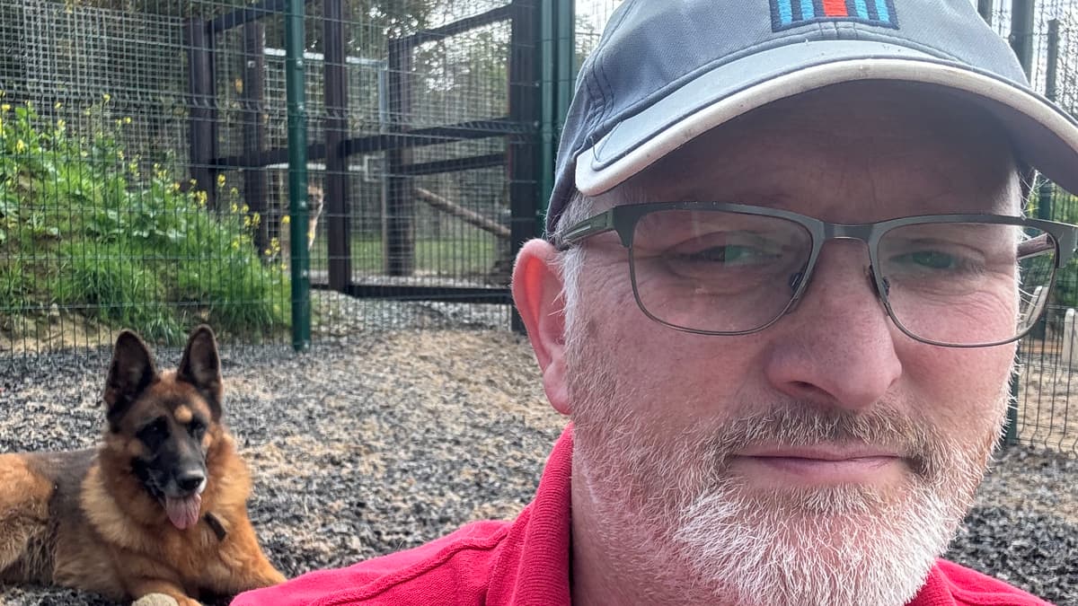 Dog rescue family in flooding appeal | holsworthy-today.co.uk