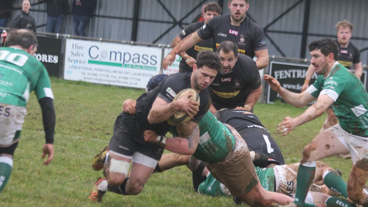 Launceston welcome back two familiar faces to the club | holsworthy ...