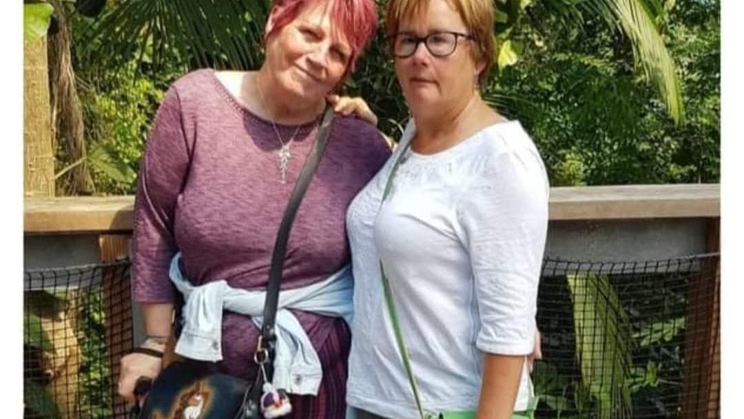 Friends unite across the county to host Twilight Walk at Eden Project ...