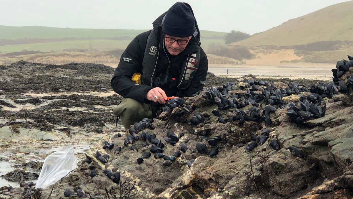 Environment Agency scientists seek new ways to save mussel power ...