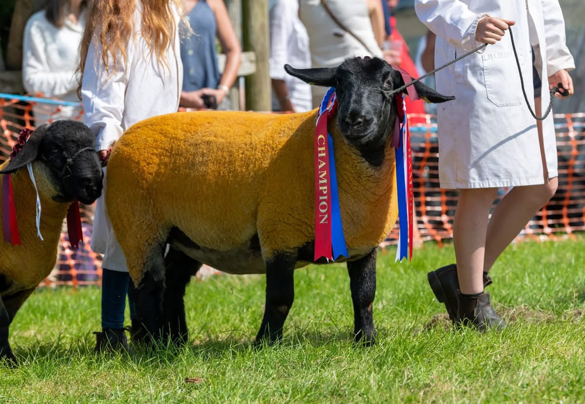 Woolsery Show: A day of fun for all the family | holsworthy-today.co.uk