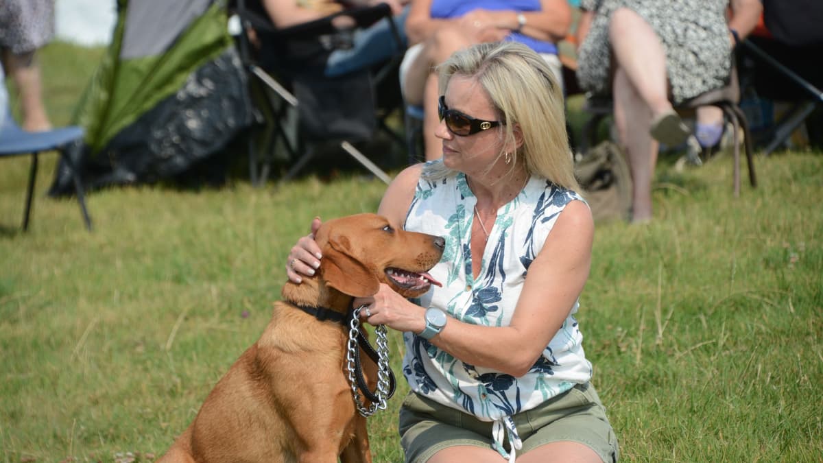 Ashwater Agricultural Show 2025 draws larger crowds and entries ...