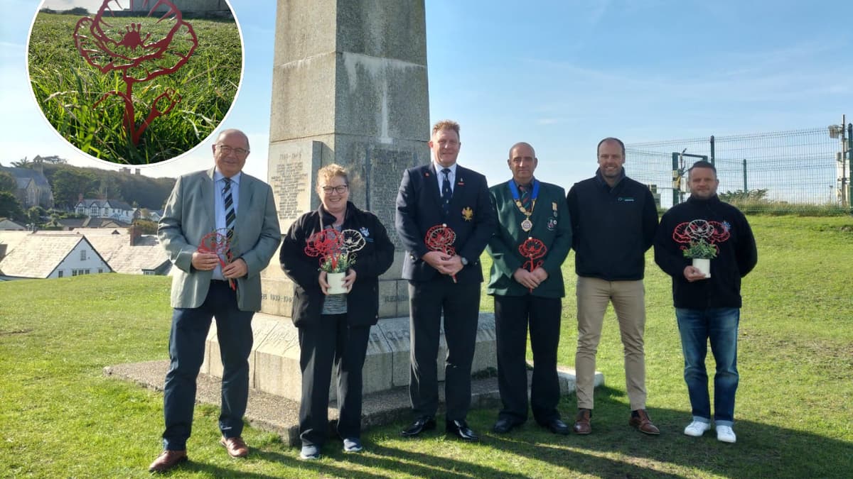 First metal poppy planted in Bude to honour Remembrance Day ...