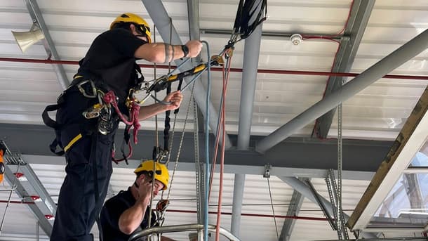 Trapped horse saved from pond in freezing conditions in Cornwall ...