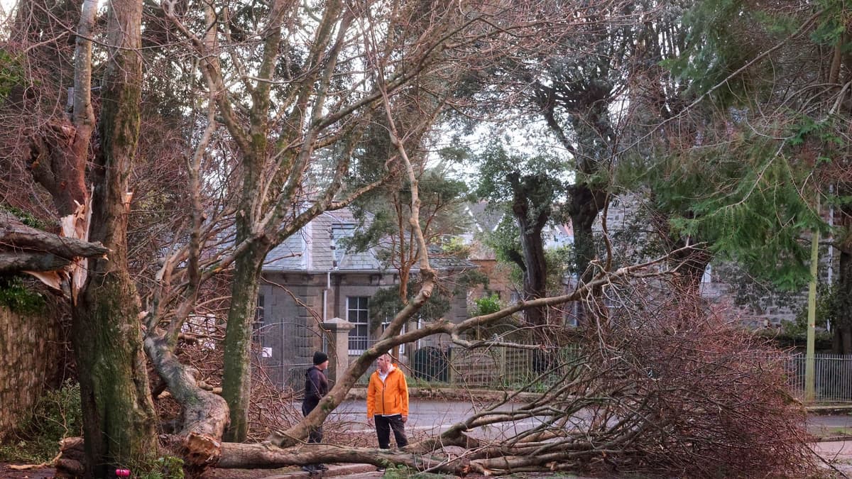 Schools closed in Cornwall to deal with Storm Goretti aftermath ...
