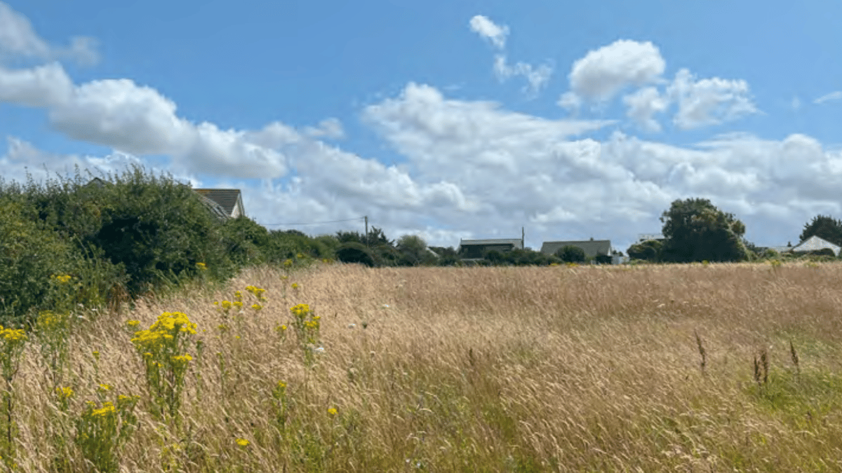 Proposals for 49 homes in coastal village submitted to Cornwall Council ...